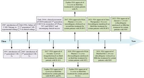 Frontiers Car T Cell Immunotherapy For Ovarian Cancer Hushing The