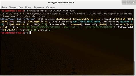 Инструкция по Whatweb как узнать движок сайта в Kali Linux — The Codeby
