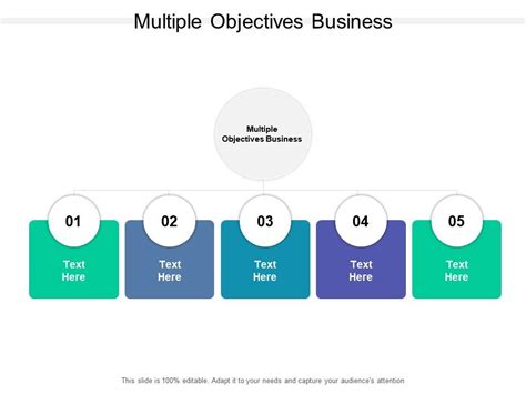 Multiple Objectives Business Ppt Powerpoint Presentation Inspiration