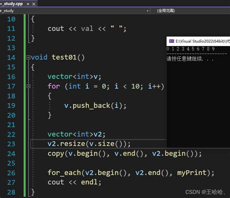 【c】常用拷贝和替换算法c代码替换 Csdn博客