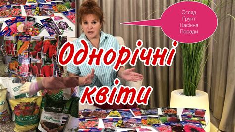 ОДНОРІЧНІ Квіти Огляд Як виглядають в нашому садочку Для ВАЗОНІВ та відкритого грунту Гарний