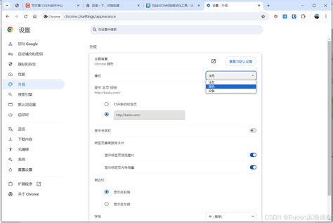 Chrome浏览器设置暗黑模式 护眼模式 亮度调节 Darkreader 地址栏和书签栏设置为黑色背景chrome Dark
