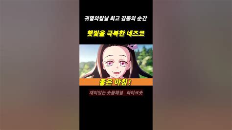 귀칼 최고 감동의순간 귀멸의칼날 카마도 네즈코 Youtube