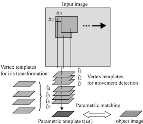 Concept Of The Parametric Template Matching Download Scientific Diagram