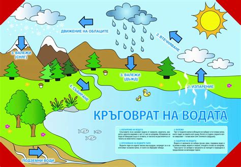Store Bg Двустранно табло по човекът и природата за 4 клас № 1 Кръговрат на водата