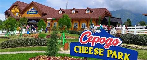 Cepogo Cimory Cheese Park Kayu Arum Resort