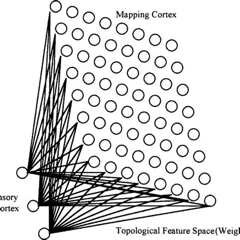 The Topology Of A Self Organizing Feature Map Som Consists Of Three