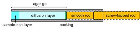 Schematic Overview Of The Agar Gel Diffusion Experimental Apparatus