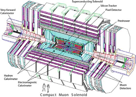 6 Overall Layout Of The Cms Detector Download Scientific Diagram