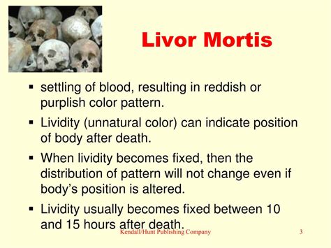 Ppt Human Remains Powerpoint Presentation Free Download Id2062392