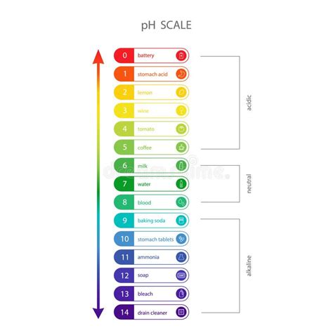 Ph Scale Chart Indicator Of Indications Measurements And Table Of Results Ph Food Analysis Or