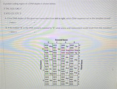 Solved A Protein Coding Region Of A Dna Duplex Is Shown