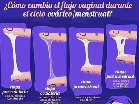 Pin En Sexología