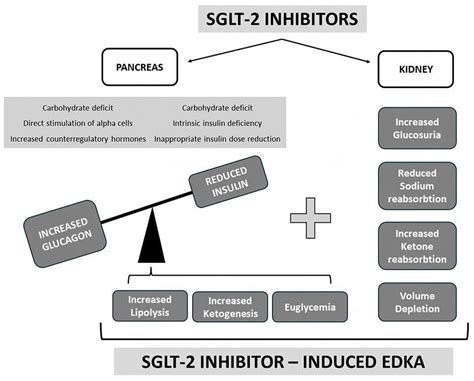 Mohamed Shahat Saad On Linkedin Patients On Sglt2i May Rarely Develop Edka Especially In The
