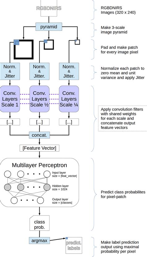 The Complete Multi Scale Convolutional Neural Network An Image Pyramid