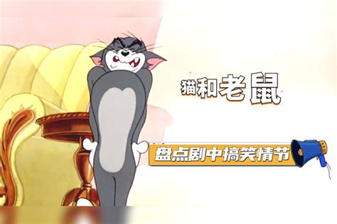 猫和老鼠盘点剧中搞笑情节汤姆被杰瑞暗中袭击简直太逗了 杰瑞 汤姆 情节