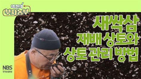 [역전의부자농부 238회] 새싹삼 재배 상토와 상토 관리 방법 Youtube