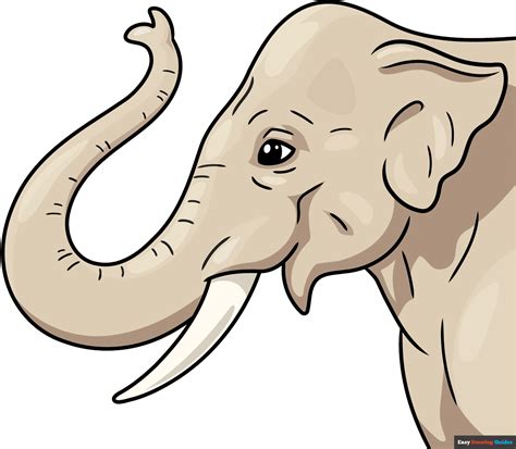 How To Draw An Elephant Trunk Really Easy Drawing Tutorial