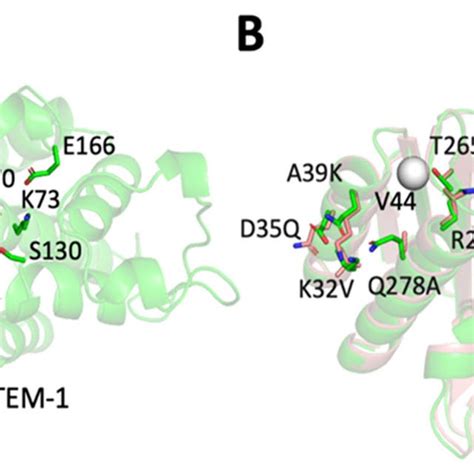 Our General Computational Protein Design Strategy Is Shown
