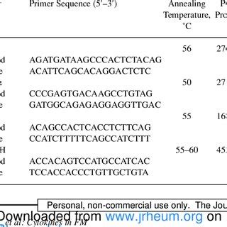 IL ß TNF α and IL primer sequences used for RT PCR reac tion Download Table