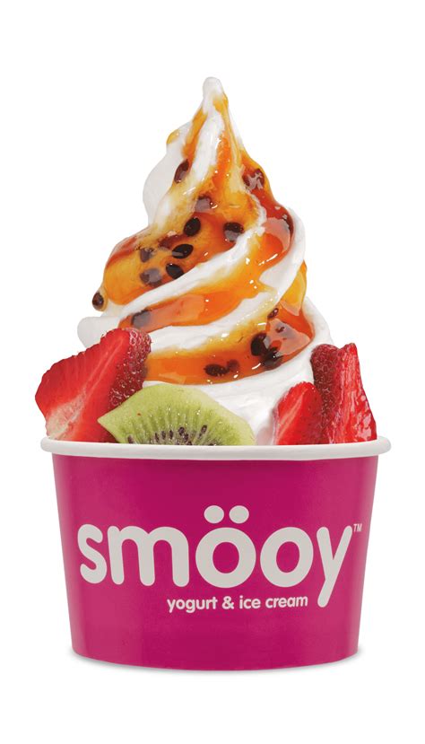 Smöoy Products Menu Frozen Yogurt Franchise Smooy