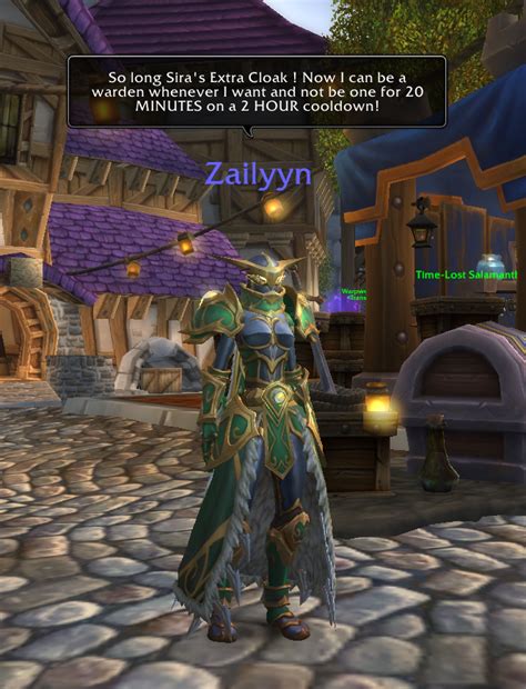 I Wanted A Proper Warden Transmog Since I Played With Maiev In Warcraft 3 12 Month Mini Grind