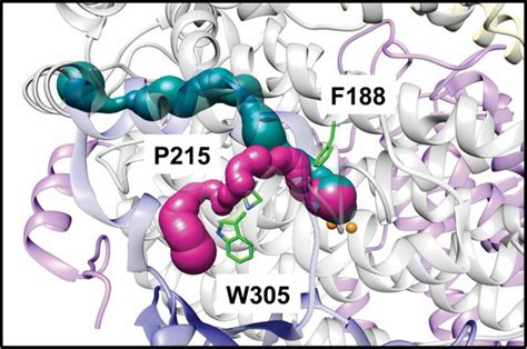 Biochemistry Of Aerobic Biological Methane Oxidation Pmc