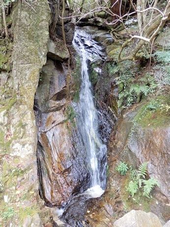 石仏ー6広島三滝寺 山野草植物めぐり
