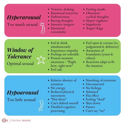 Central Minds On Instagram “the Window Of Tolerance Is A Concept