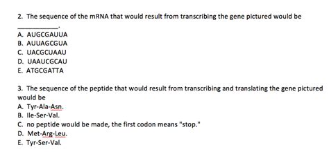 Solved Use The Following Figure For Questions 2 3 Dna