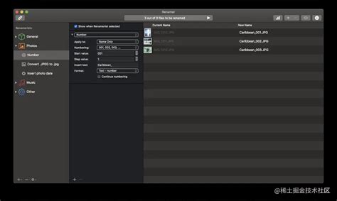 正则表达式批量重命名的四种方法：macos内置、sed、rename、renamer我曾找过正则反向选择的语法，猛然发现 掘金