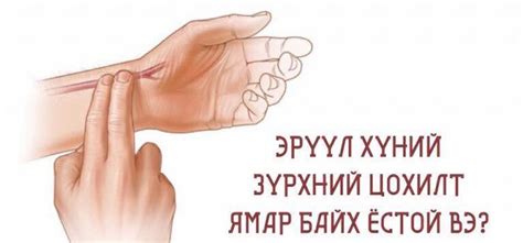 Монгол Кальци Эрүүл хүний зүрхний цохилт ямар байх ёстой