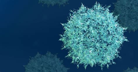 Adeno Associated Virus Solutions