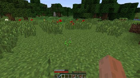 Где найти семена пшеницы в Майнкрафт