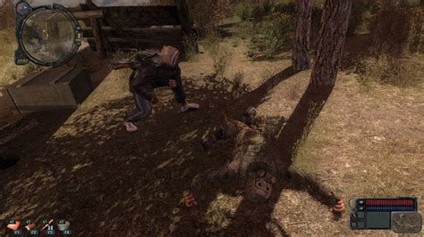 Серия игр Stalker: все части серии «Сталкер» по порядку / Skillbox Media