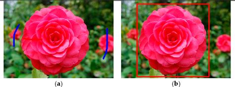 Table 1 From Efficient Superpixel Guided Interactive Image Segmentation Based On Graph Theory