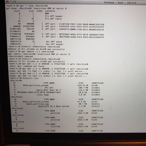 disk utility macos partition startup volume type ffffffff ffff ffff