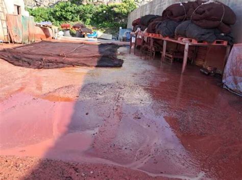 가두리양식용 그물 세척 폐수 바다 오염 적발돼