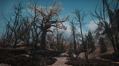 Community Shaders Anyone Had A Dabble Skyrim General Discussion