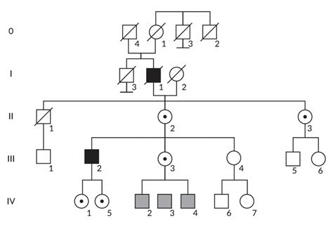 Nystagmus In Newborns And Adults Bcm Families Foundation