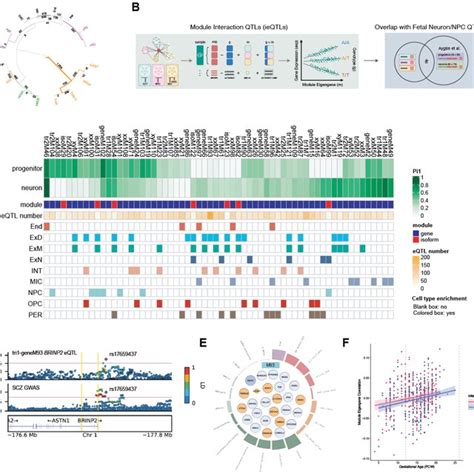 Module Interacting Eqtls And Context Specific Gwas Colocalization A Download Scientific