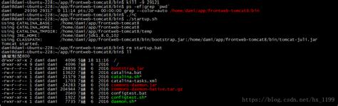 Vue项目打包部署（linux命令）dist文件打包部署到liunx Csdn博客