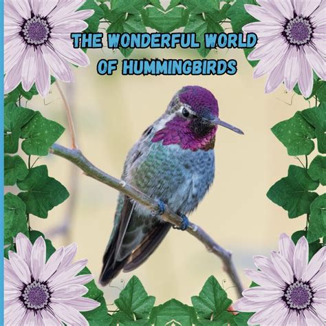 The Wonderful World Of Hummingbirds Interesting Facts About