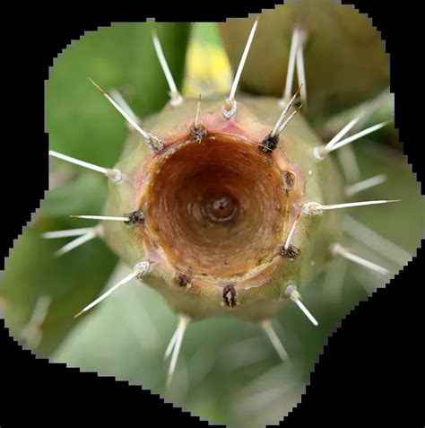 Ai Workflow Integration Langwide Localization Solutions