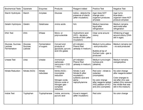 Biochemical Tests Chart Biochemical Tests Substrate Enzymes Products