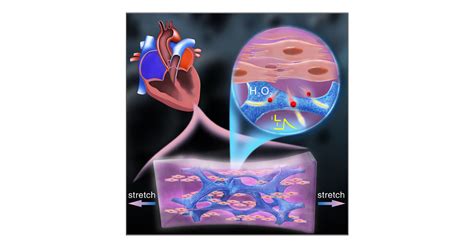 Three Dimensional Stretchable Sensor Hydrogel Integrated Platform For