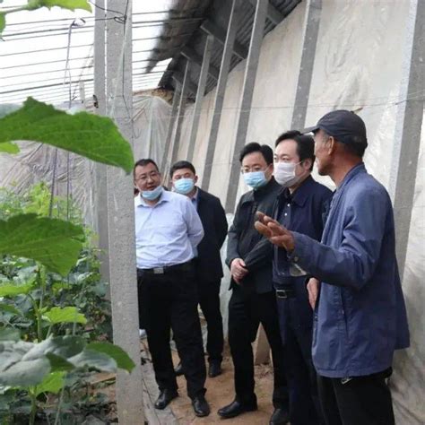 杨跃峰书记调研乡村特色产业发展和宗教工作 凤岗街道 农业 管理