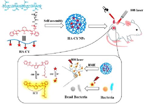 A Cascade Bime Triggered Near Ir Cyanine Nanoplatform For Enhanced