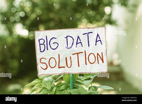 Conceptual Hand Writing Showing Big Data Solution Concept Meaning