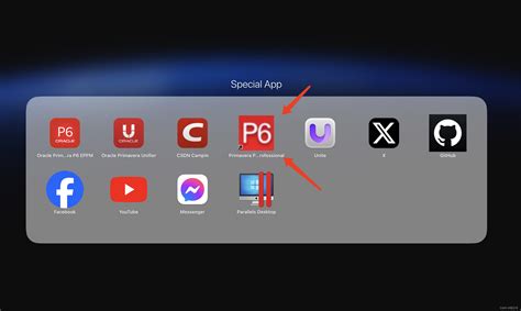 如何在mac平台下使用oracle p6软件？ oracle支持mac系统吗 csdn博客